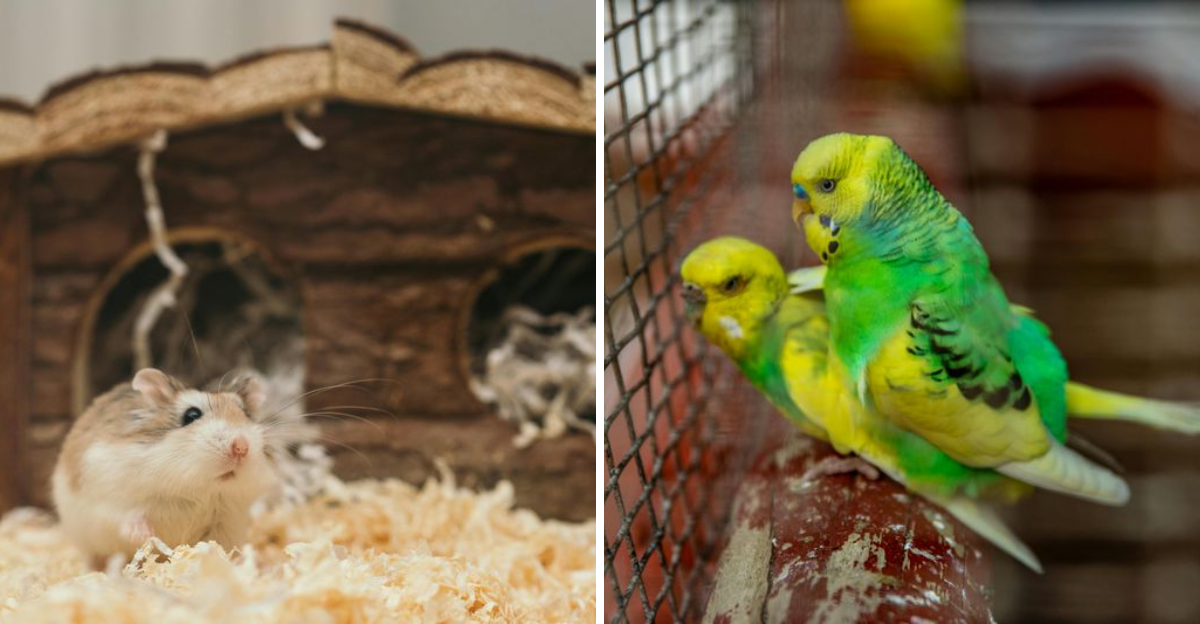 11 Pets That Can Live Happily In Small Apartments