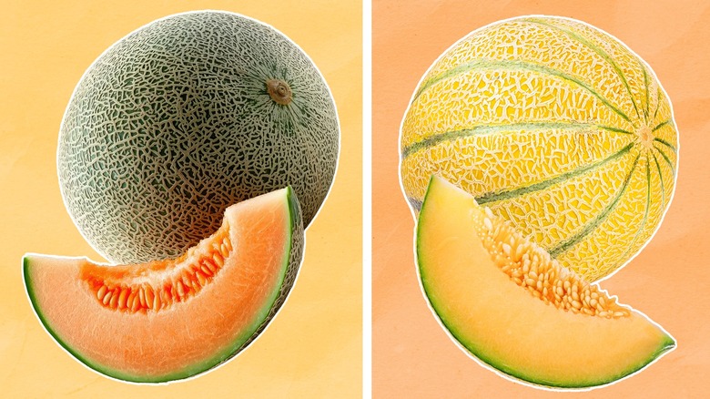 The Exact Difference Between Cantaloupe And Muskmelon