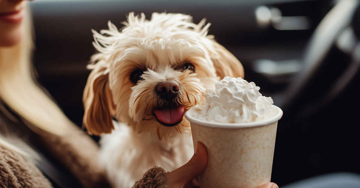 12 National Dog Day Freebies Your Pooch Will Go Crazy For