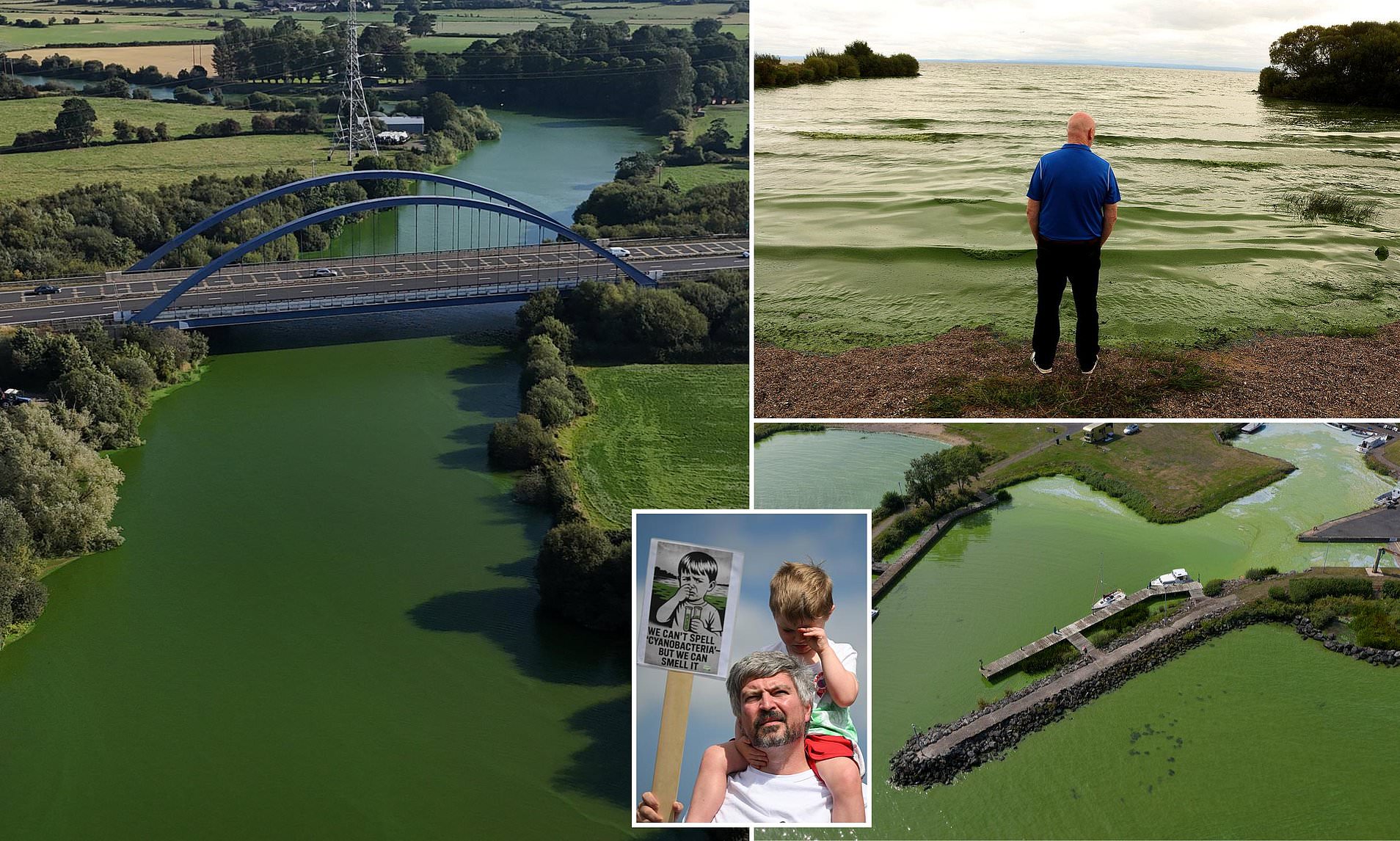 'Worst ever' blue-green algae outbreak wreaks havoc on UK's largest ...