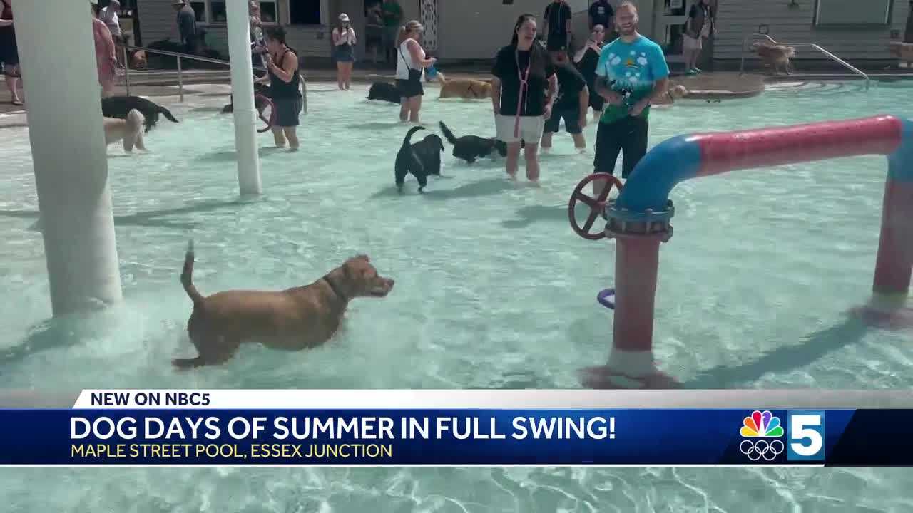 Maple Street Pool in Essex Junction hosts annual Dog Day event