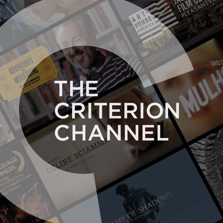 Welcome to MFL Season Five!