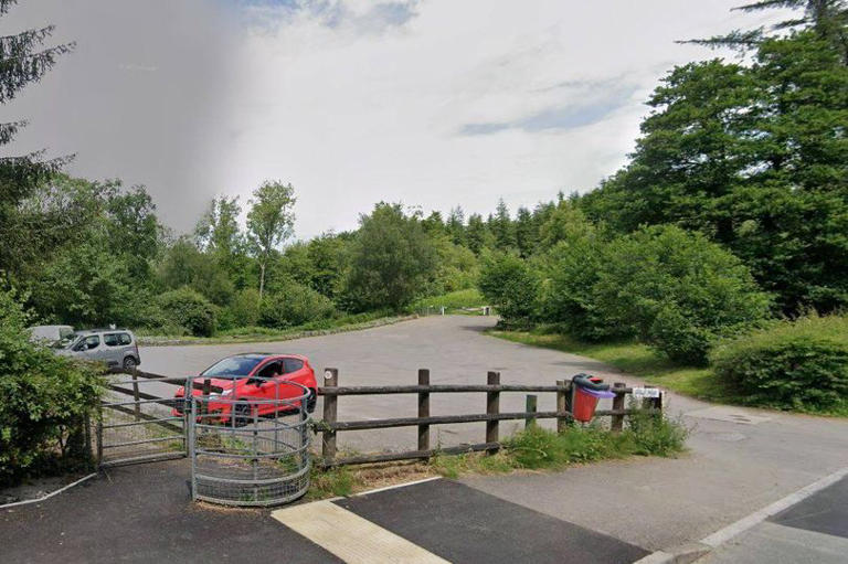 New food and drink van could open at nature spot on edge of Caerphilly