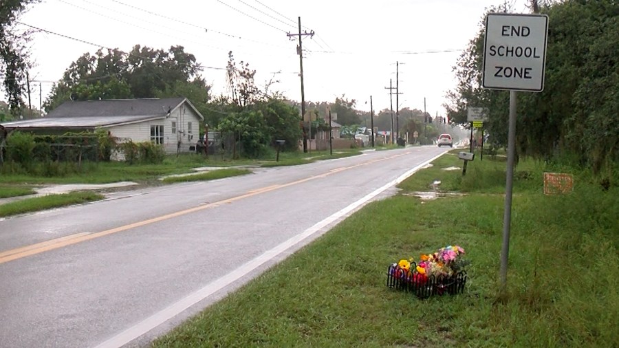 ‘She should not be free’: Polk County hit-and-run victim’s mother ...