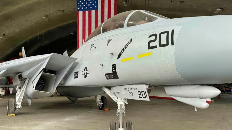 The F-14 Tomcat fighter became a legend — but it nearly died from ...