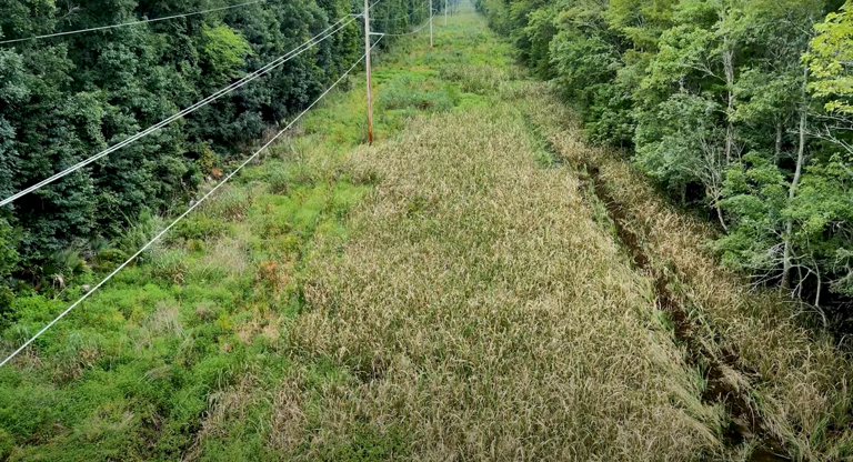 What we at Santee Cooper plan for South Carolina's Francis Beidler ...