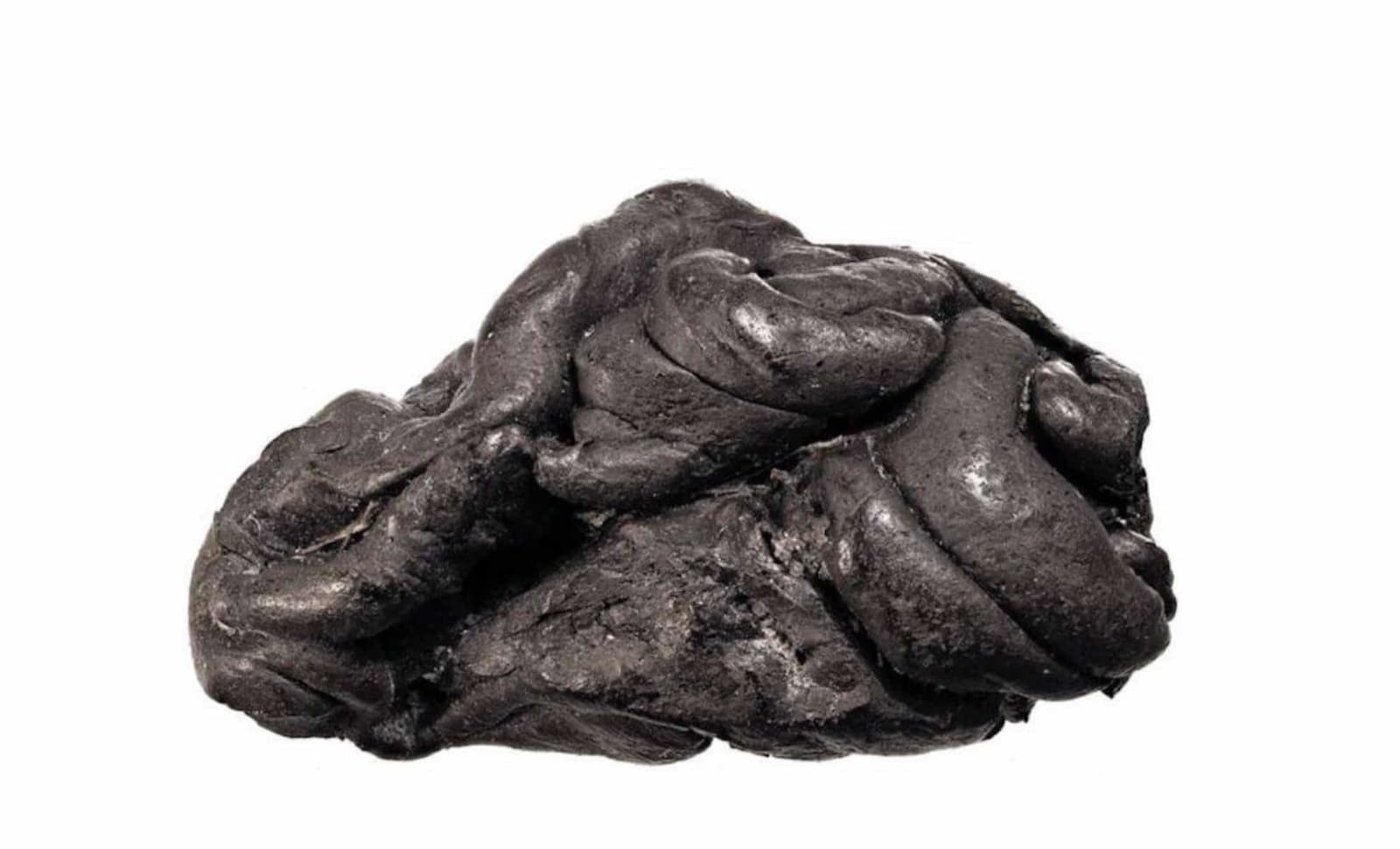 This Young Girl Lived 6,000 Years Ago — And Her Chewing Gum Just Told ...