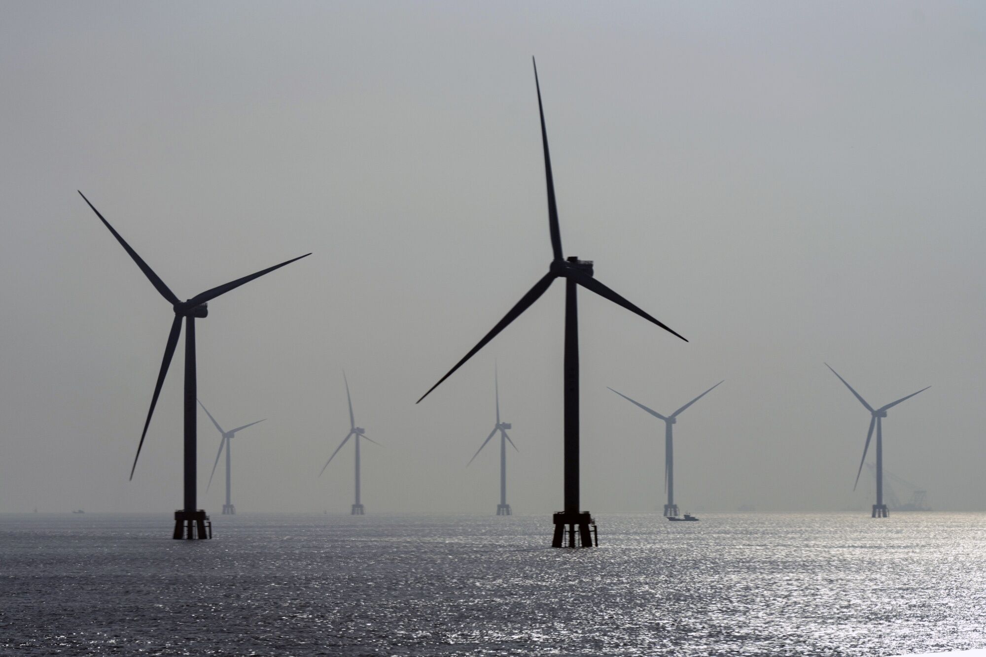 Trump to Halt Development of Another Offshore Wind Farm