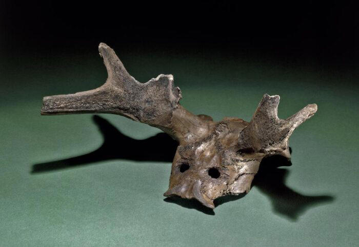 Star Carr: Mystery of the Mesolithic