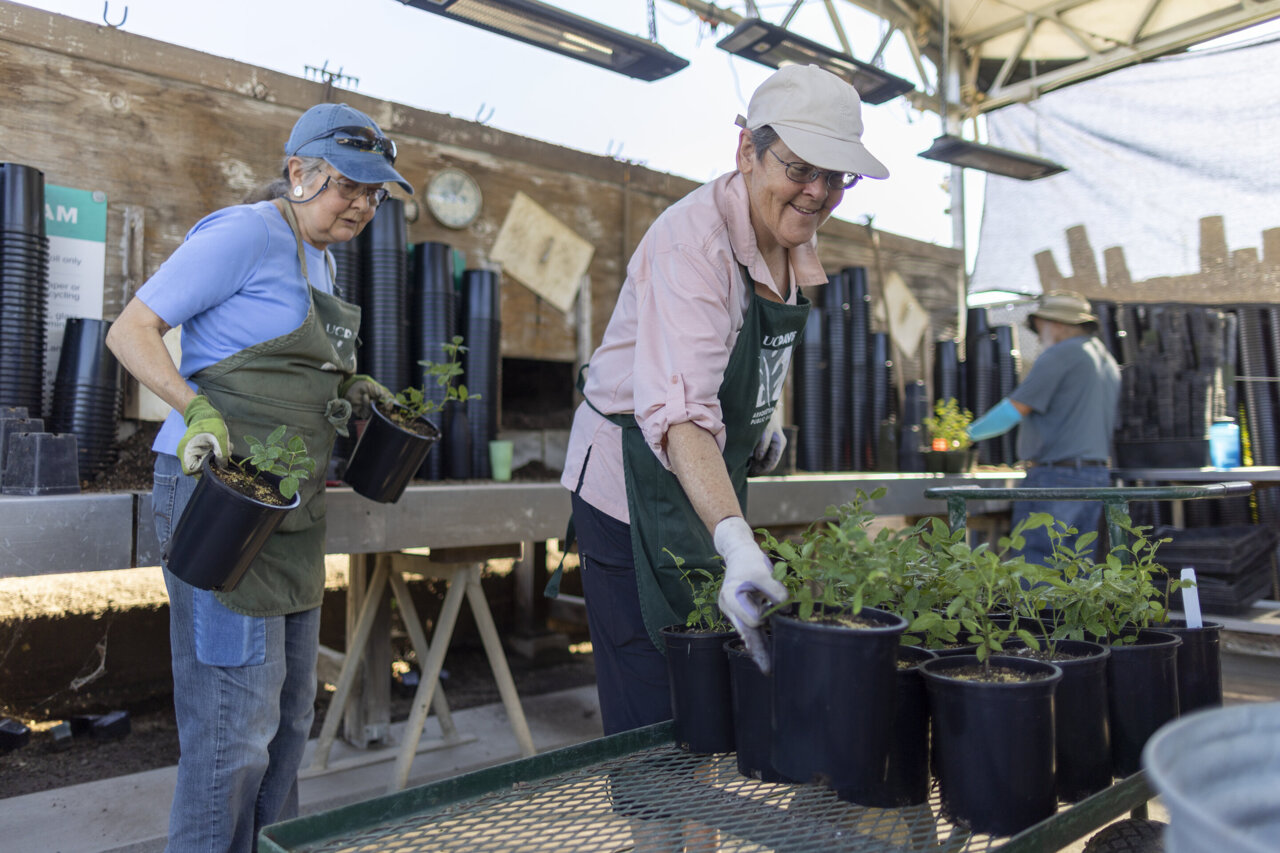 Having a sense of purpose may protect against dementia