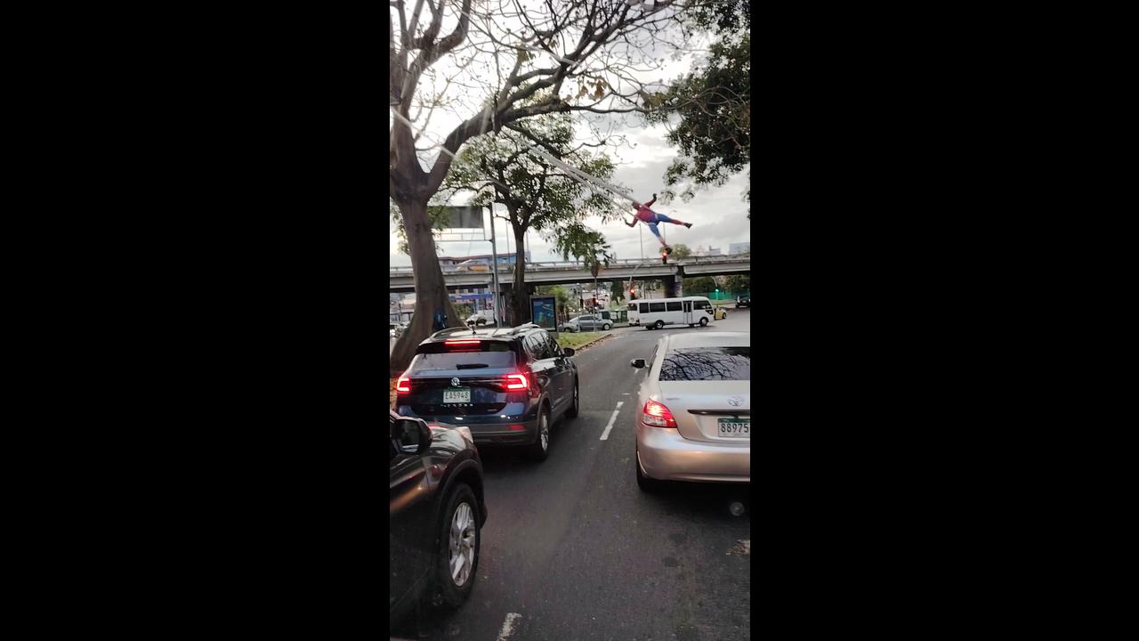 Spider Man Seen Swinging From a Tree in Panama