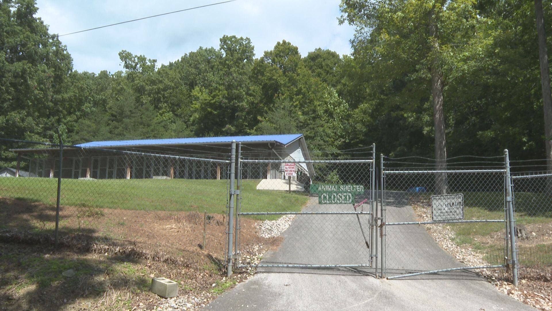 KSP investigating alleged animal abuse at animal shelter