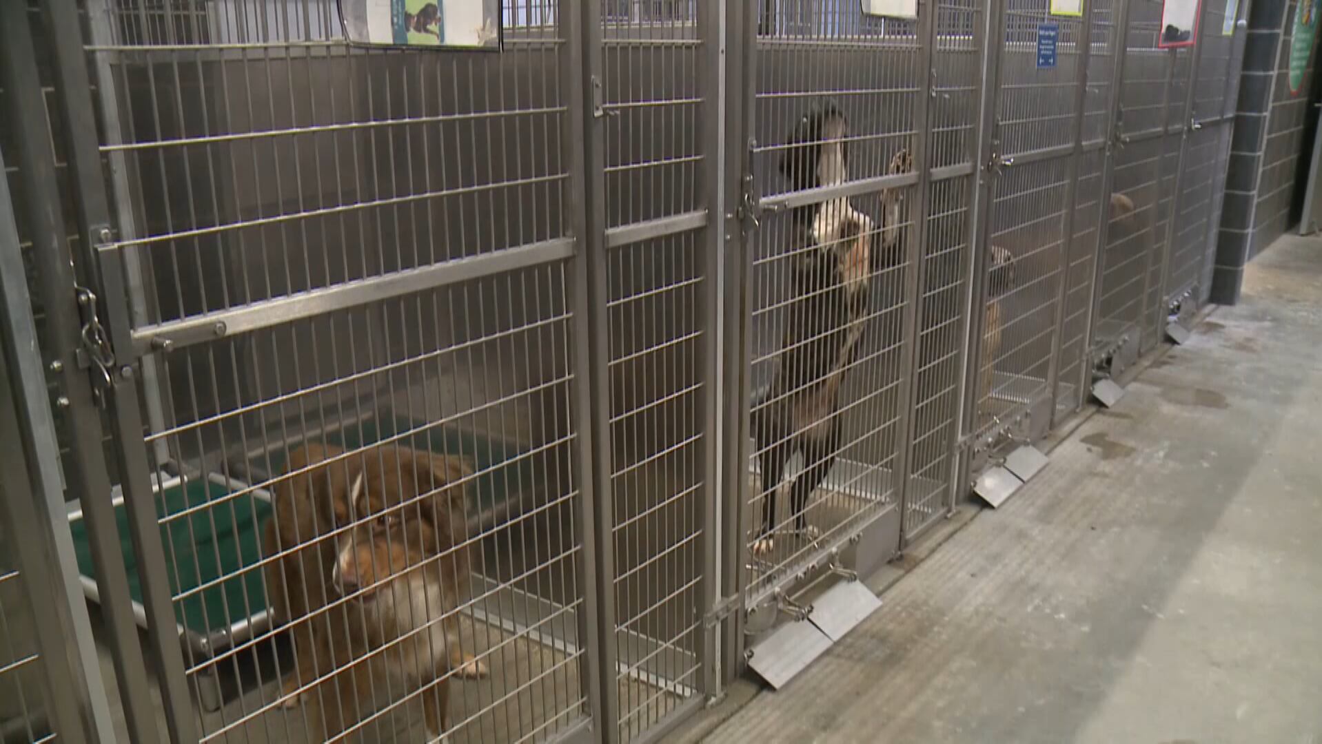 Bell County Commissioners Court approves outreach coordinator position ...