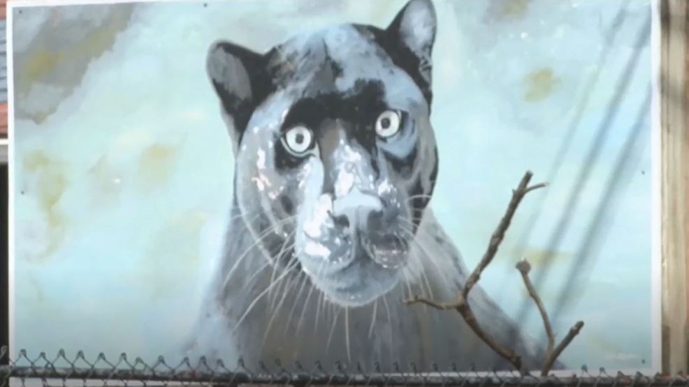 Former West Coast Game Park owner arrested on racketeering, drug, and ...