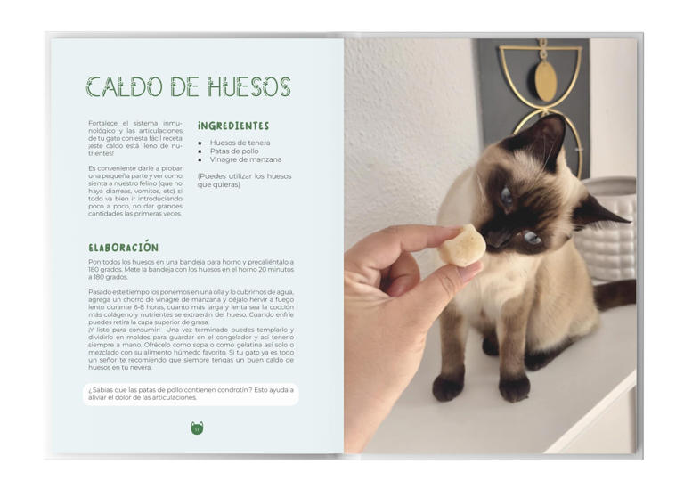 Comida casera para gatos: guía completa, seguridad, recetas y BARF