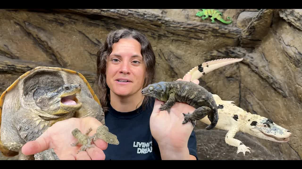 Behind the Scenes: Whats New at the Reptile Zoo!