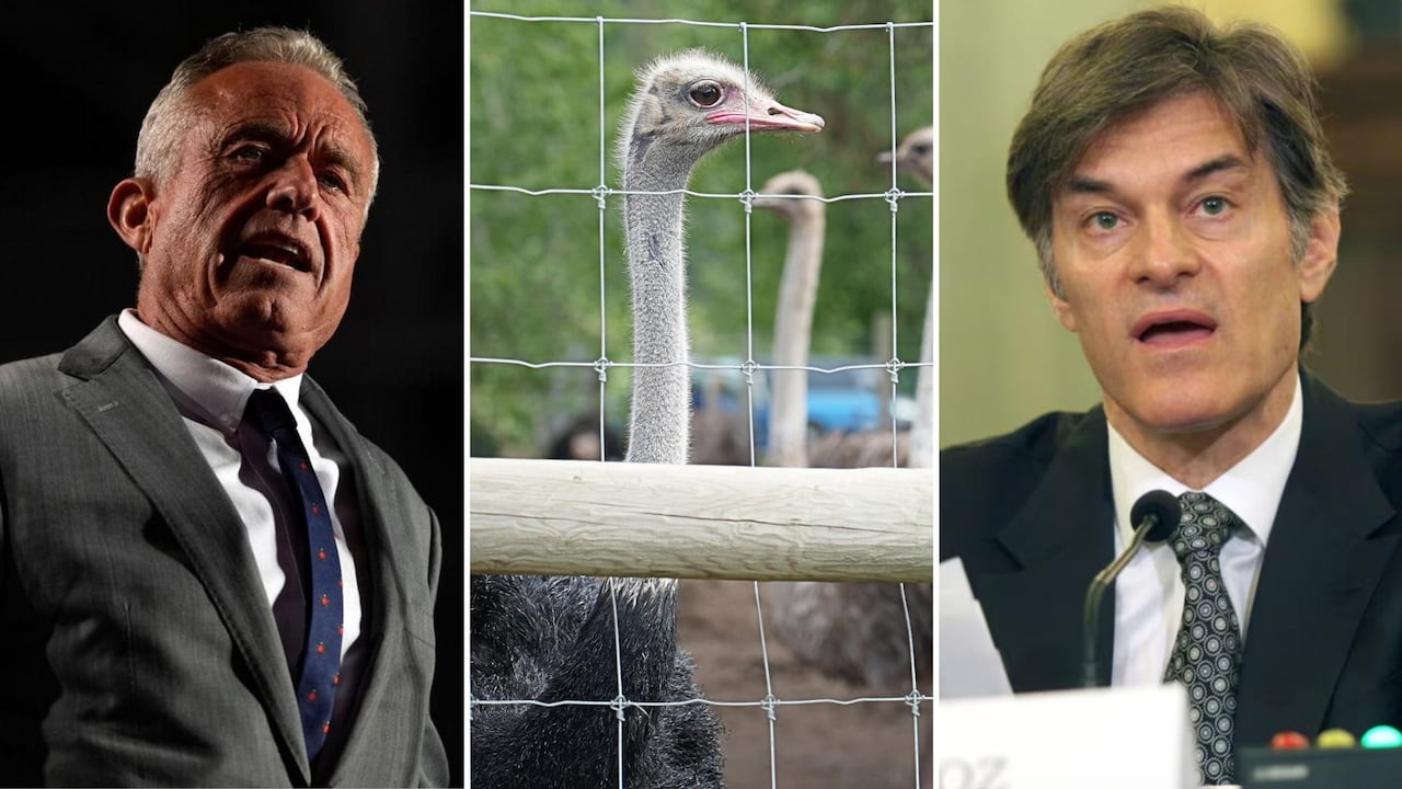 Dr. Oz wants to take B.C. ostriches facing cull order — but scientists ...