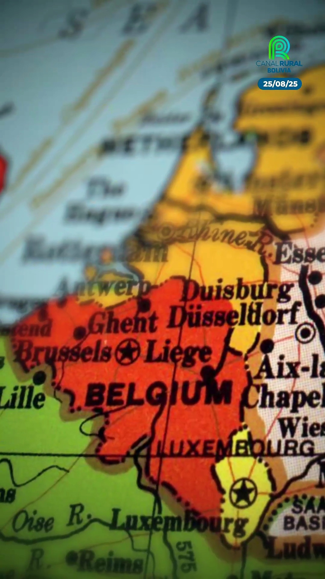 Raza porcina Pietrain: 4 razones para incluirla en tu piara