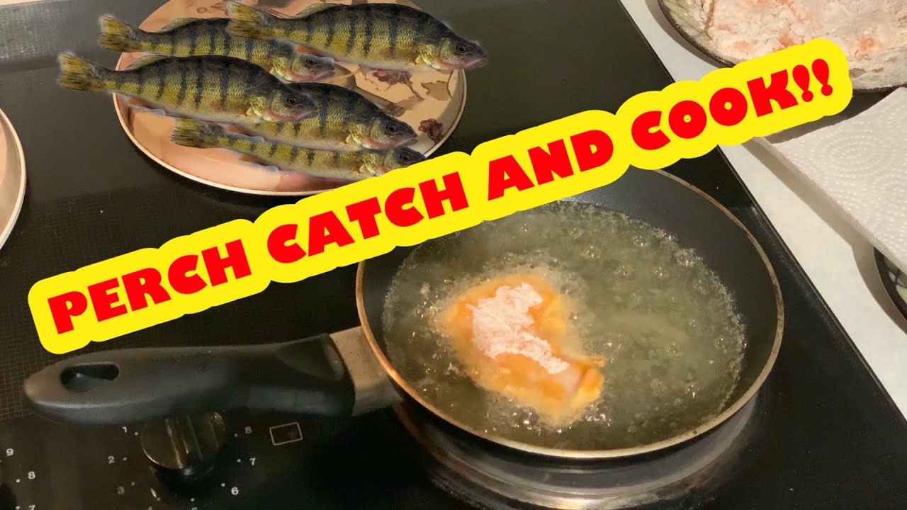 Can I Catch Fish Using Only Corner Store Lures?