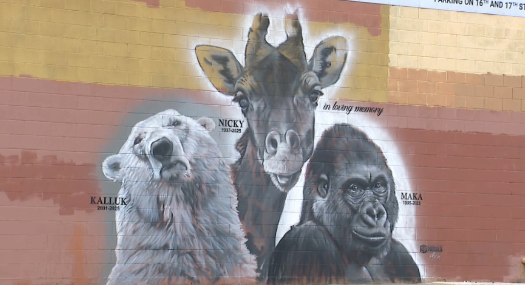 Artista local crea mural en honor a animales recién fallecidos de San ...