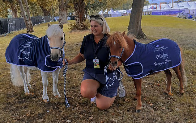 How mini horses have helped children find their voice - and the sick in ...