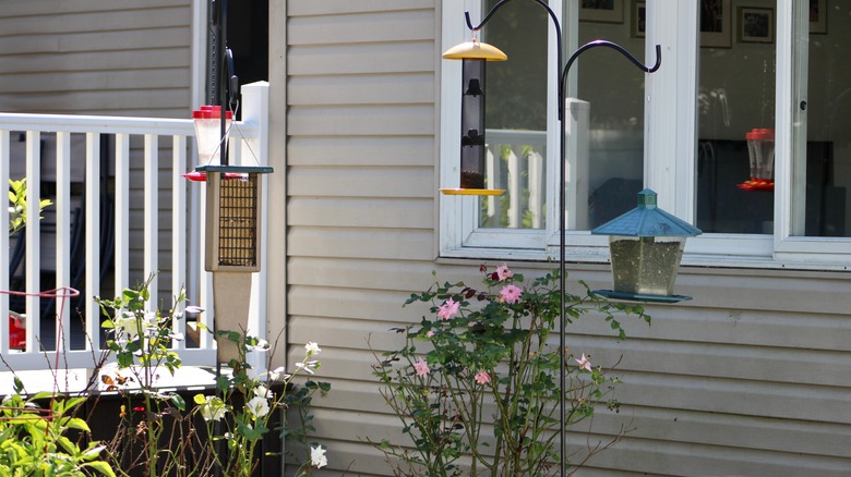 Unique Alternatives For Hanging A Bird Feeder Without Having A Tree ...