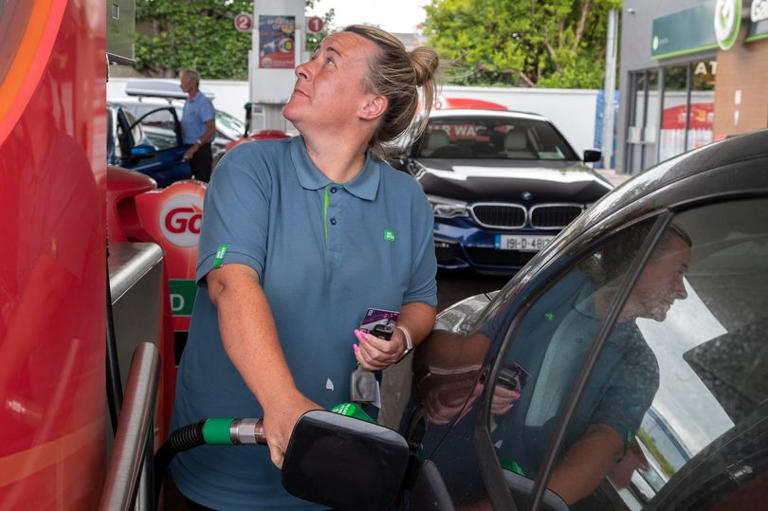 Car expert shares 'fuel-efficient' trick to cut petrol costs by nearly €350