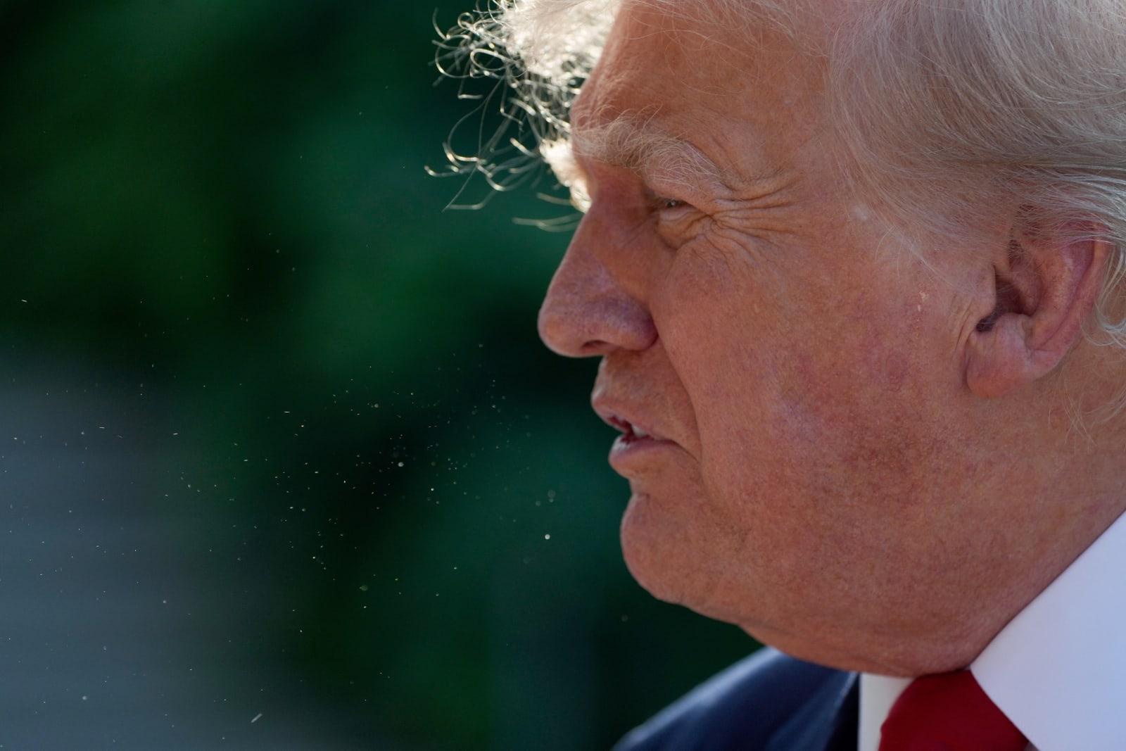 'Purge or revolution?' Trump post raises eyebrows ahead of meeting ...