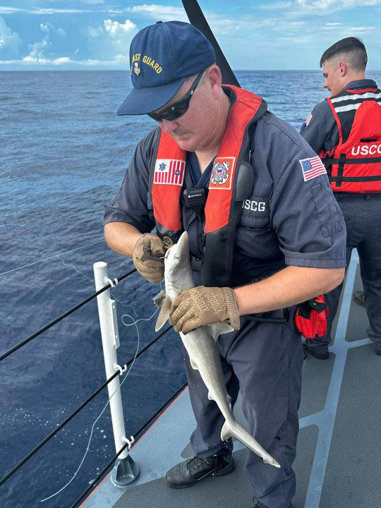 Coast Guard rescues 70 sharks, 20 snappers caught in miles of illegal ...