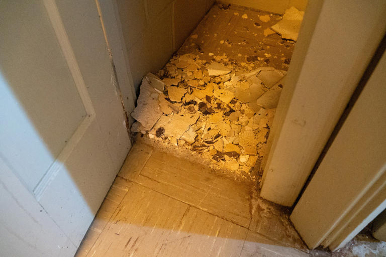 Tenants: Poor conditions, slow responses persist at Charleston Housing ...
