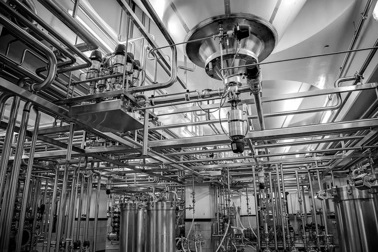 Best Wisconsin beers: Top picks for craft beer enthusiasts