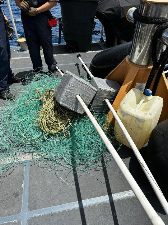 Coast Guard rescues 70 sharks, 20 snappers caught in miles of illegal ...