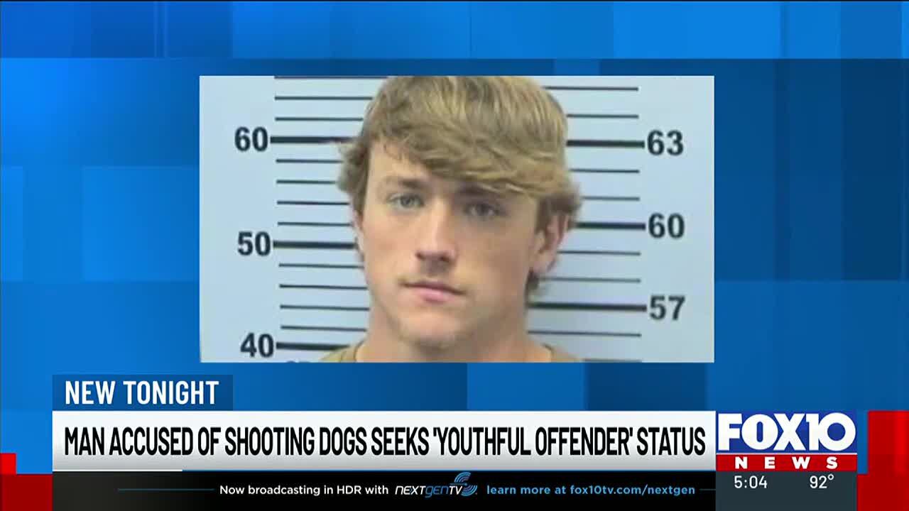 Wilmer man accused of shooting dogs with crossbow seeks youthful ...