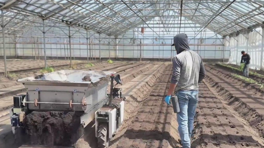 California farmers eye automation amid labor crisis