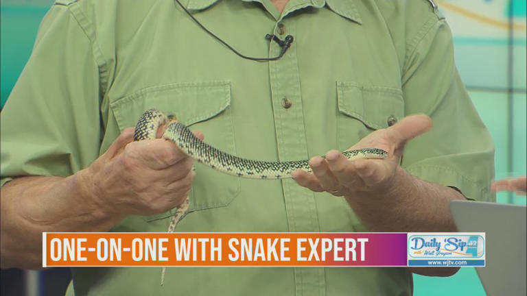 Herpetologist Terry Vandeventer discusses snakes
