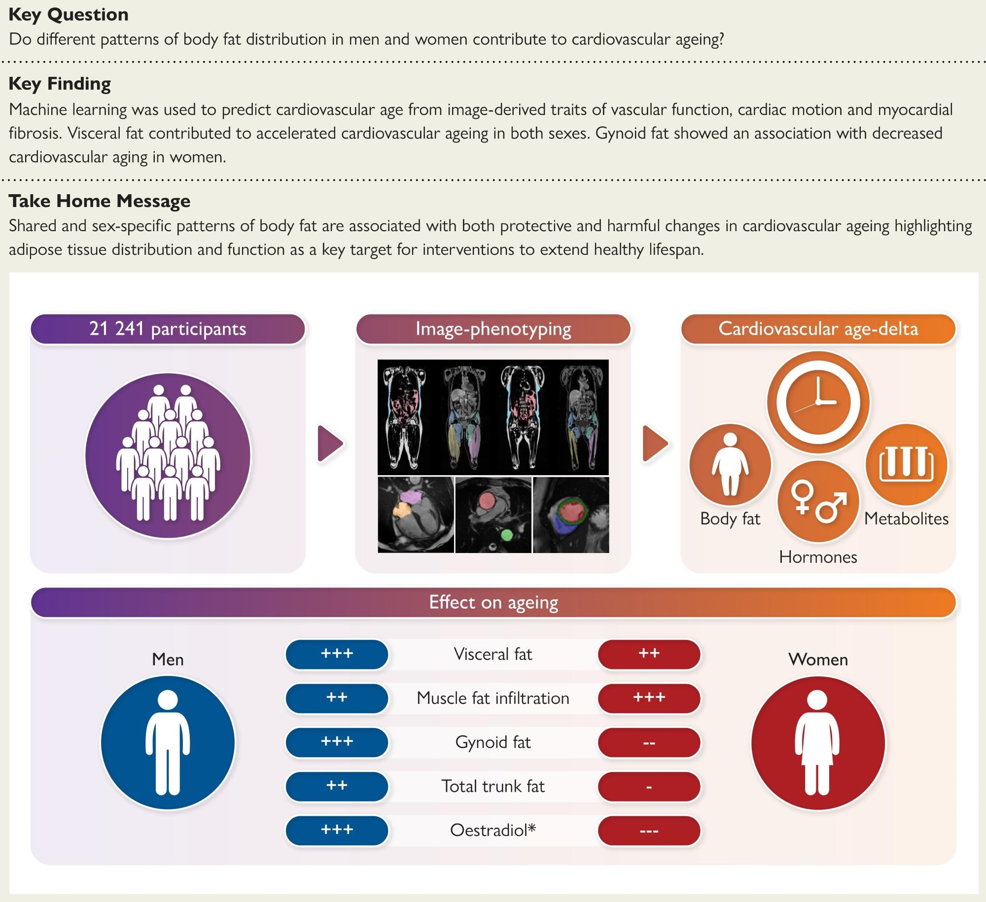 Fat location, not BMI, drives heart ageing risk in men and women