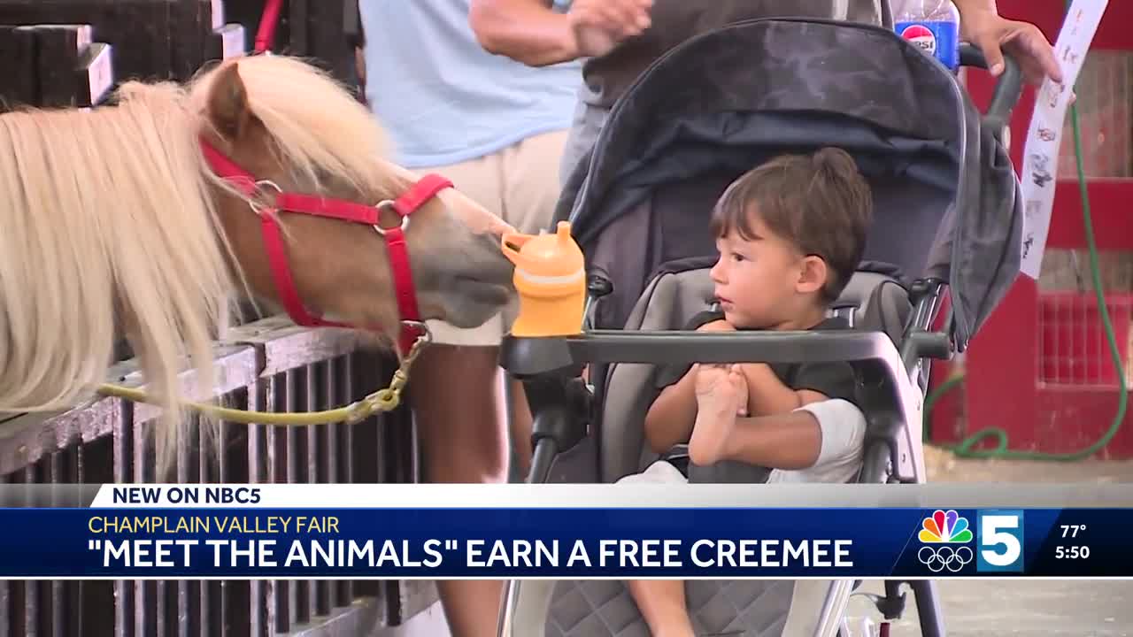 Old McDonald Farm offers sweet rewards for kids at the Champlain Valley ...