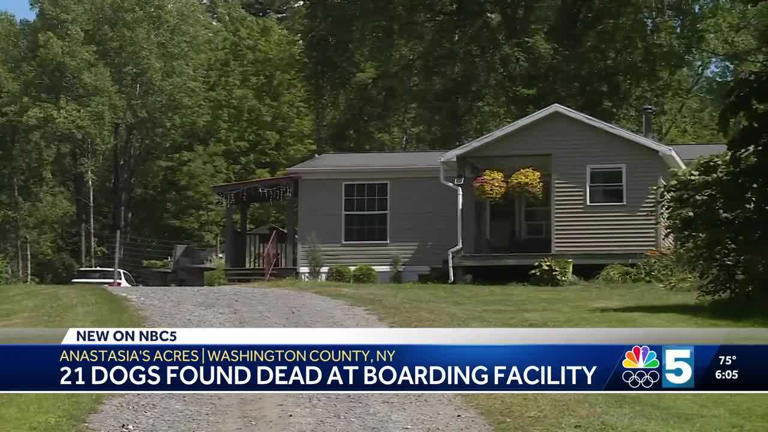 Police investigate deaths of 21 dogs at New York boarding facility