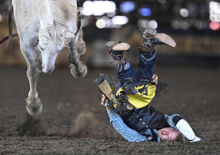 Norco rodeo draws riders from across the West ahead of national finals