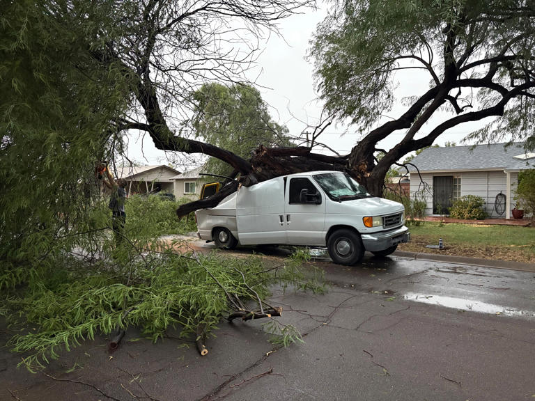 Monsoon causes Sky Harbor damage, downed trees in Tempe, flood concerns ...