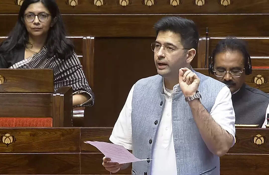 Raghav Chadha education and career: How India’s youngest Rajya Sabha MP ...