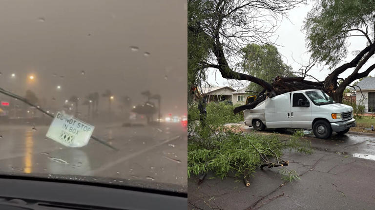 Monsoon causes Sky Harbor damage, downed trees in Tempe, flood concerns ...