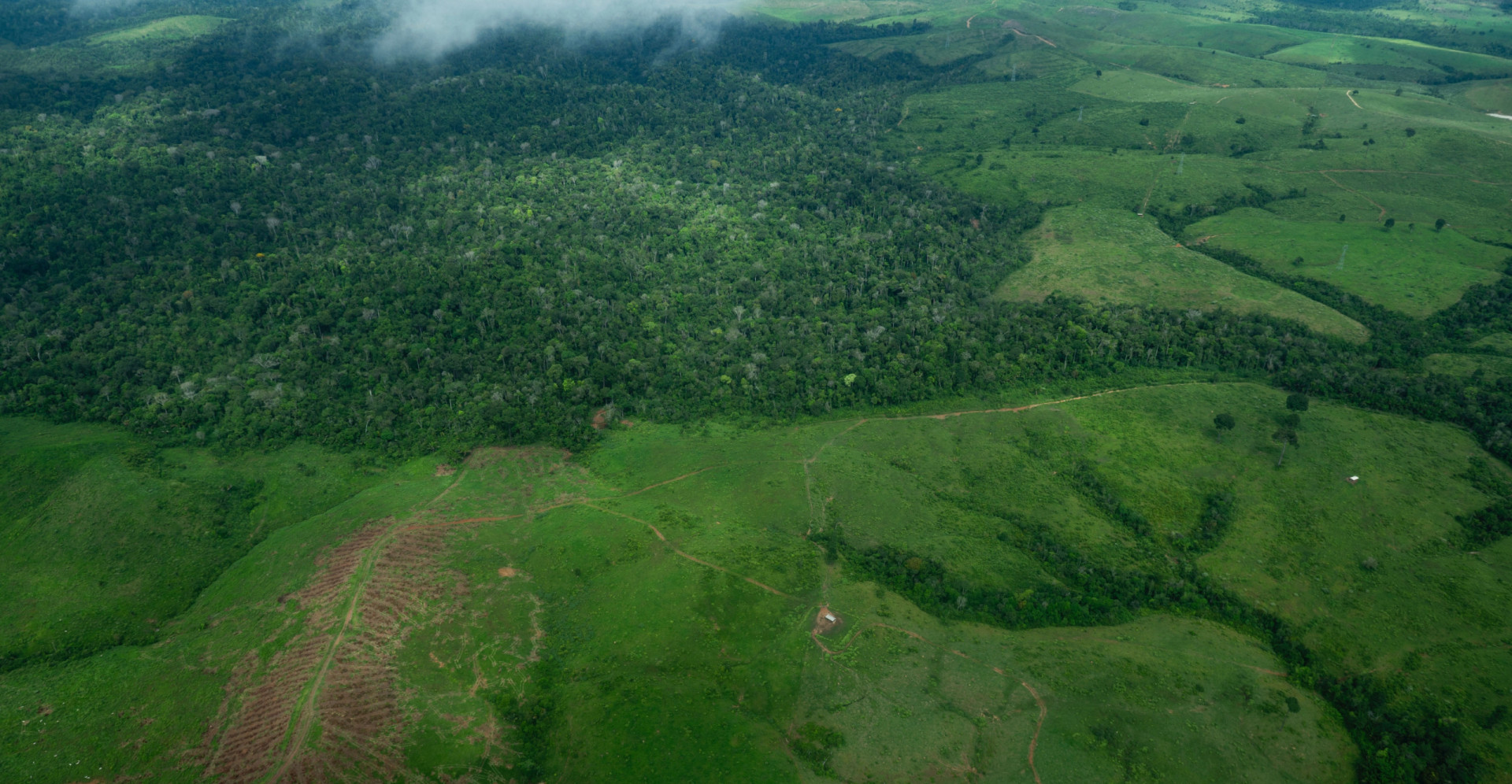 The eeriest legends from the Amazon rain forest