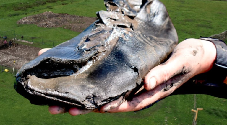 Roman foot soldiers or foot giants? 2,000-year-old giant Roman shoe ...