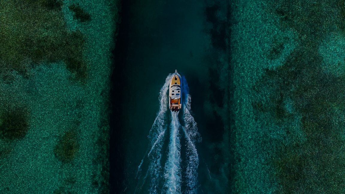 Timeless Views of Nature – Experience the Pace in 4K