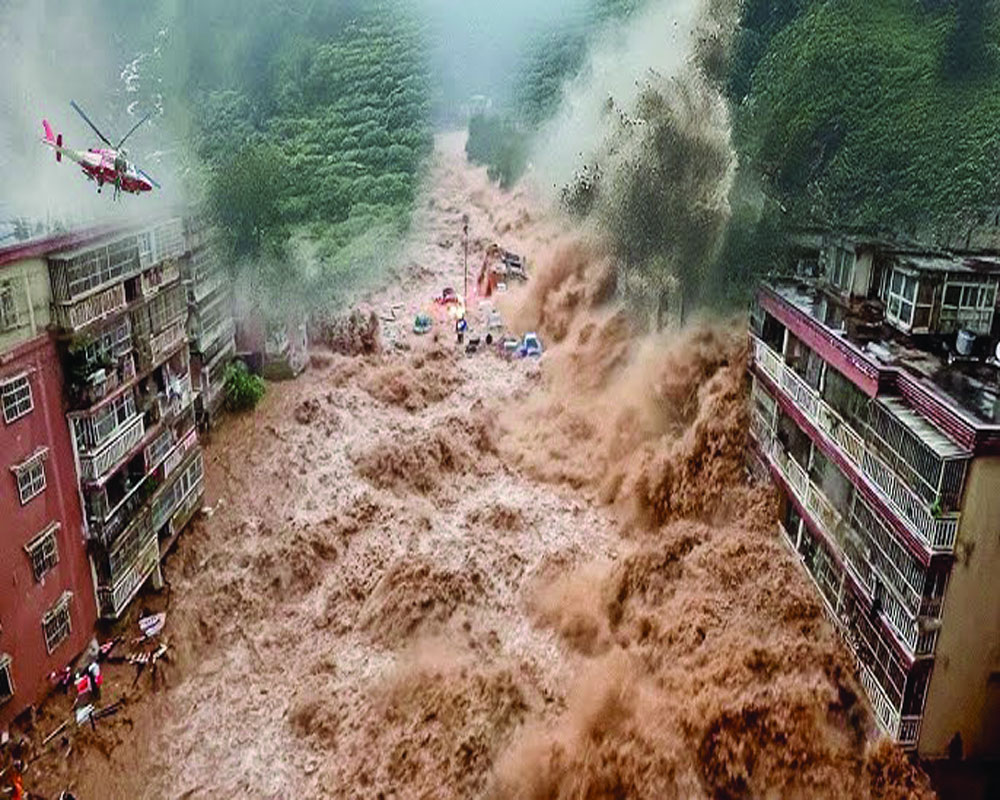 Strengthening India's green shield for climate and disaster resilience