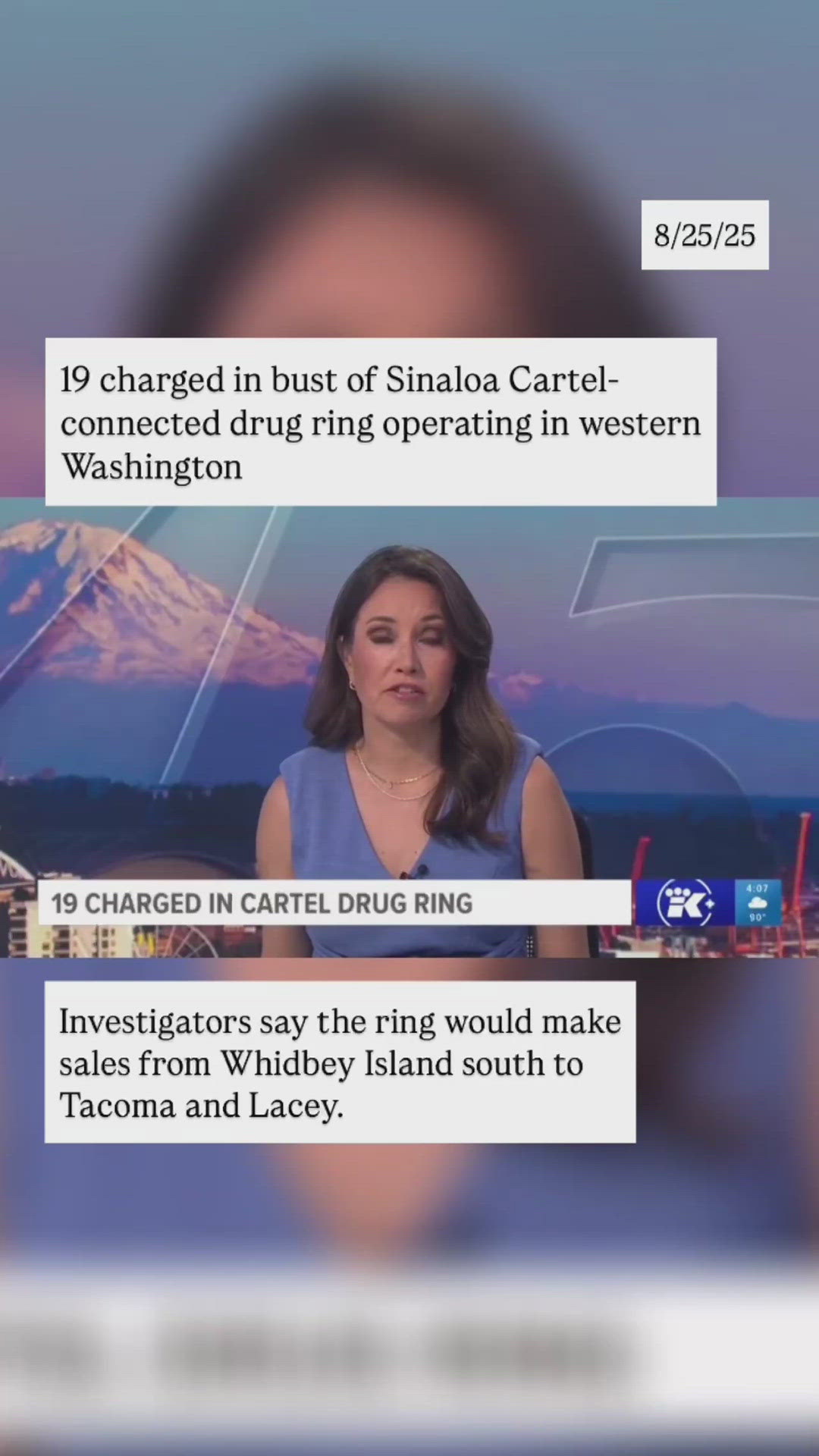 19 charged in bust of Sinaloa Cartel-connected drug ring operating in ...