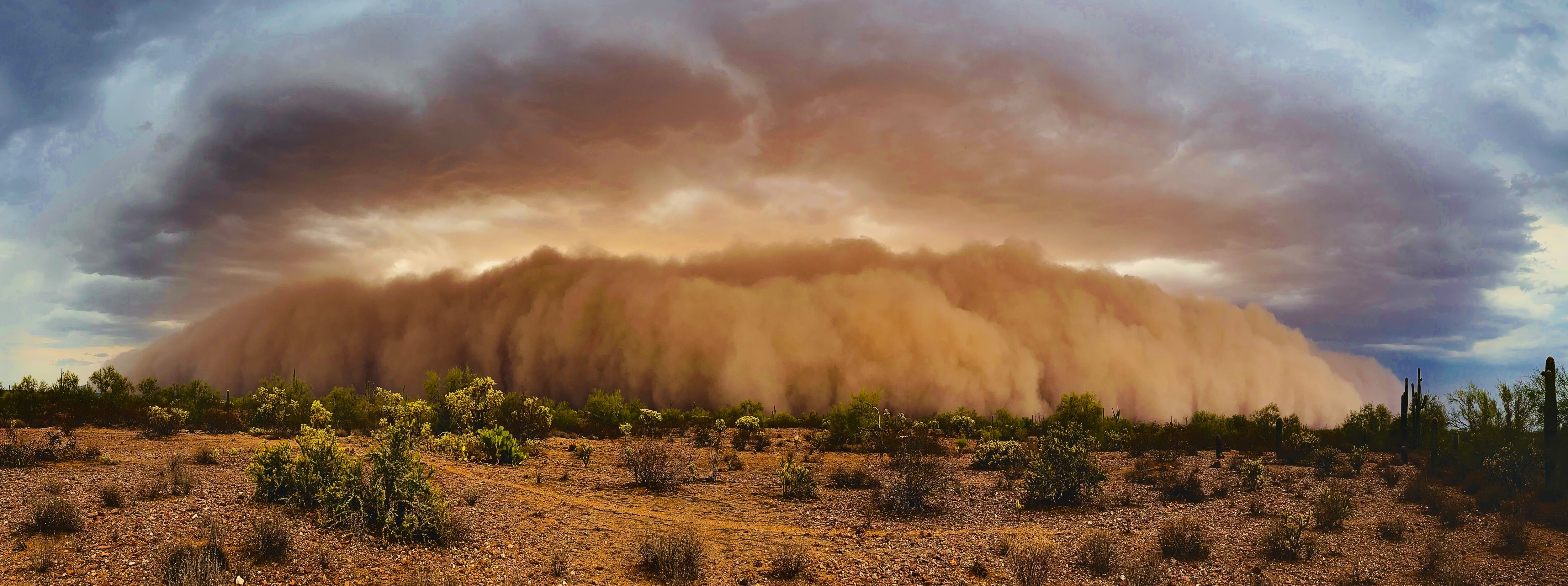 Haboob hits Arizona, thunderstorms dump heavy rain across metro Phoenix