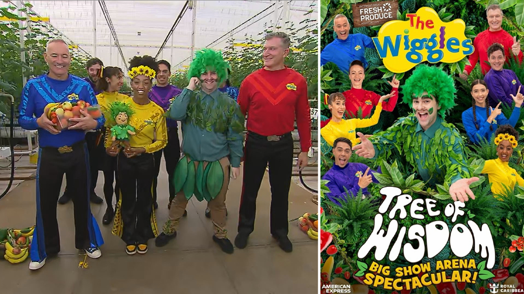 The Wiggles' earnings of $7 million revealed after former CEO sues group