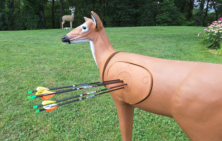 Here's what Pennsylvania archers need to know before this year's deer ...